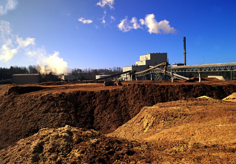 Biomass Energy Definition - What is Biomass Energy? Biomass Energy Definition - What is Biomass Energy?