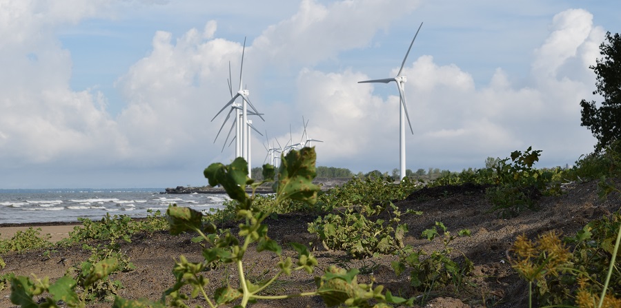 Apple signed PPA to buy wind energy from Oregon wind farm – Power World ...